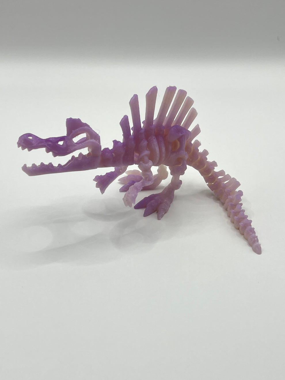 Spinosaurus Mini – La Caja Studio